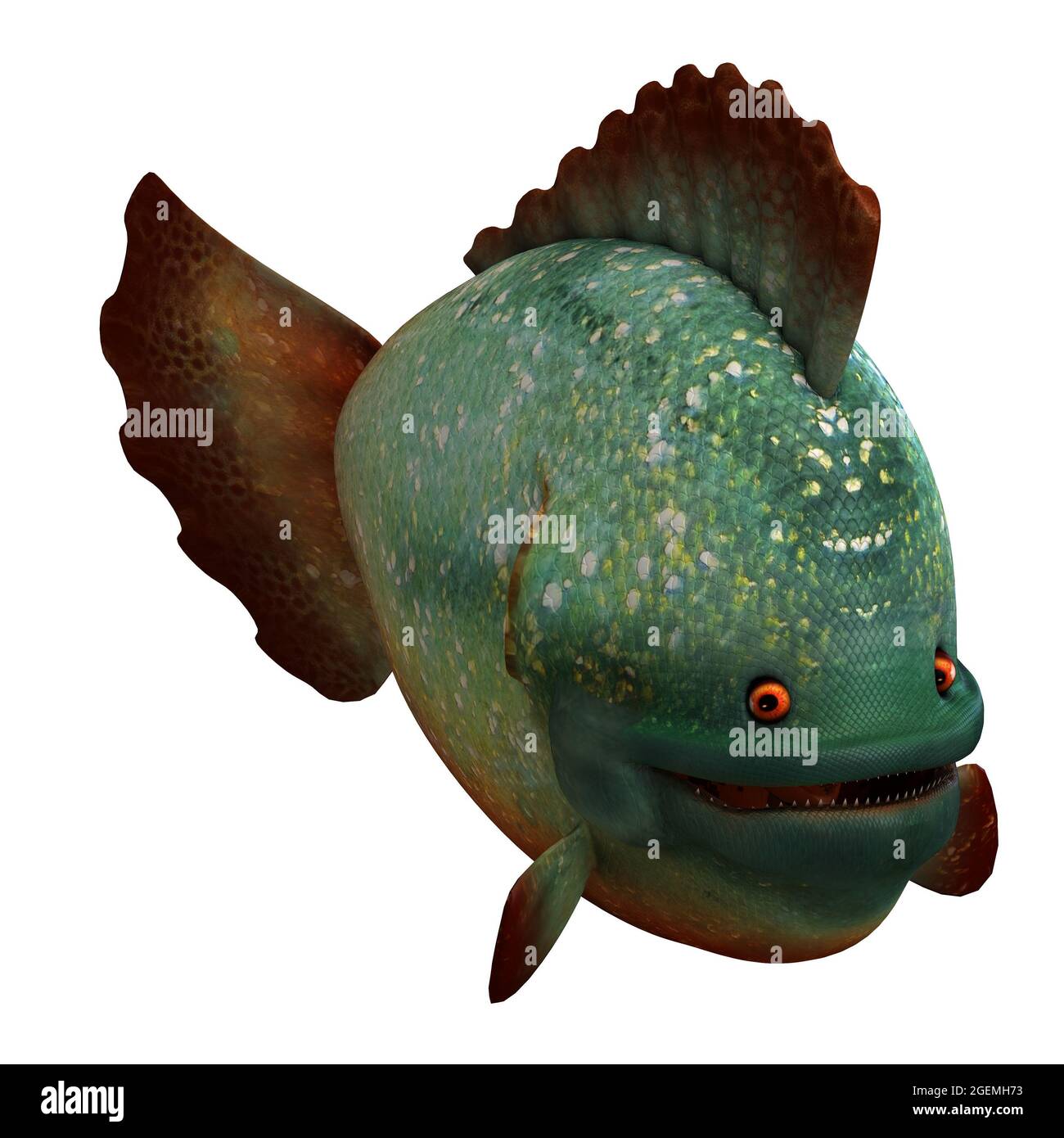 Cute Fish Cartoon 3d