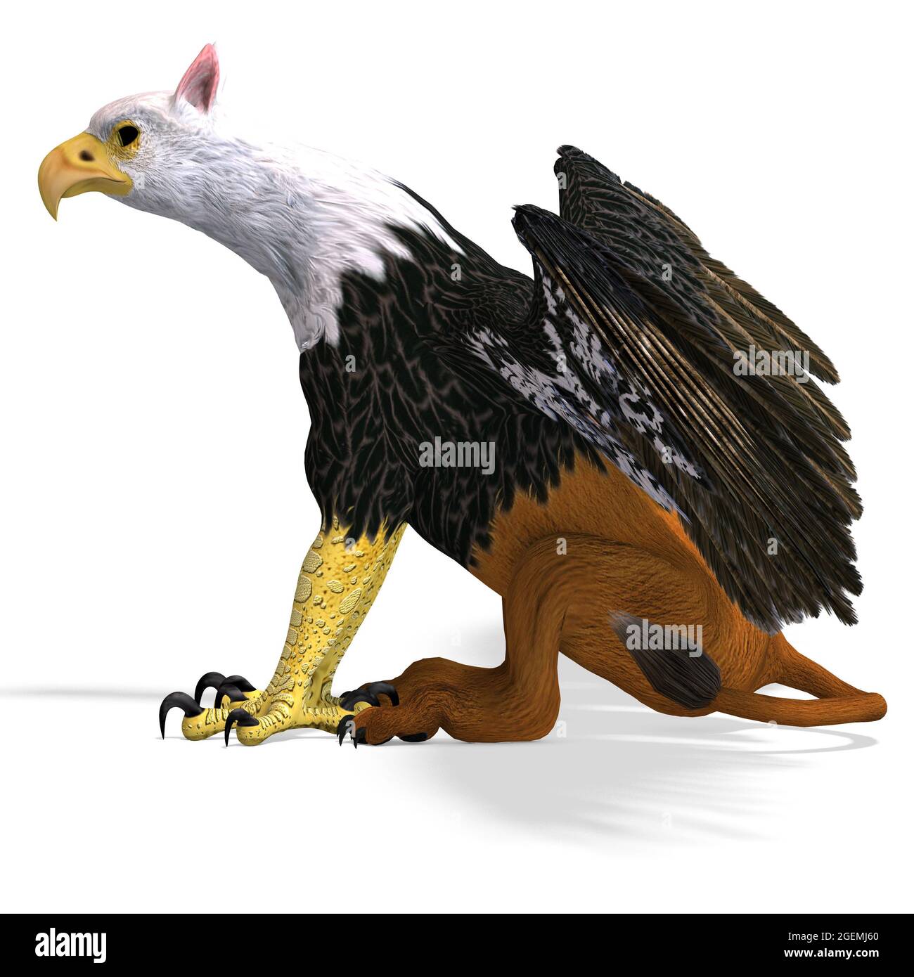 Griffin mythical animal clipart hi-res stock photography and images - Alamy