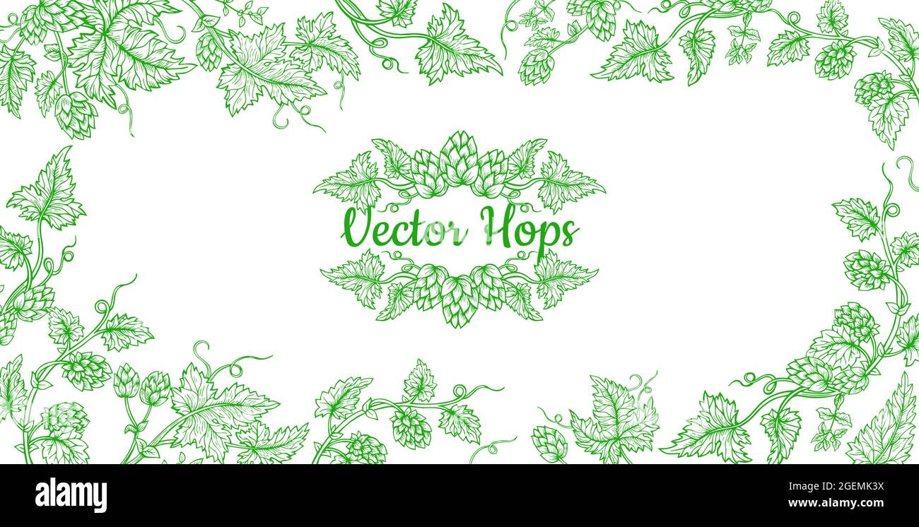 Hops Border Vector