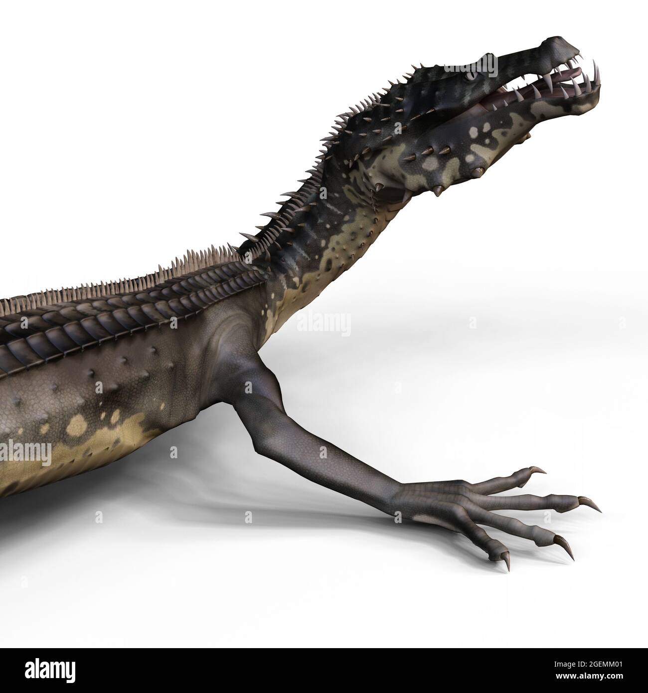 Reptilian draco hi-res stock photography and images - Alamy