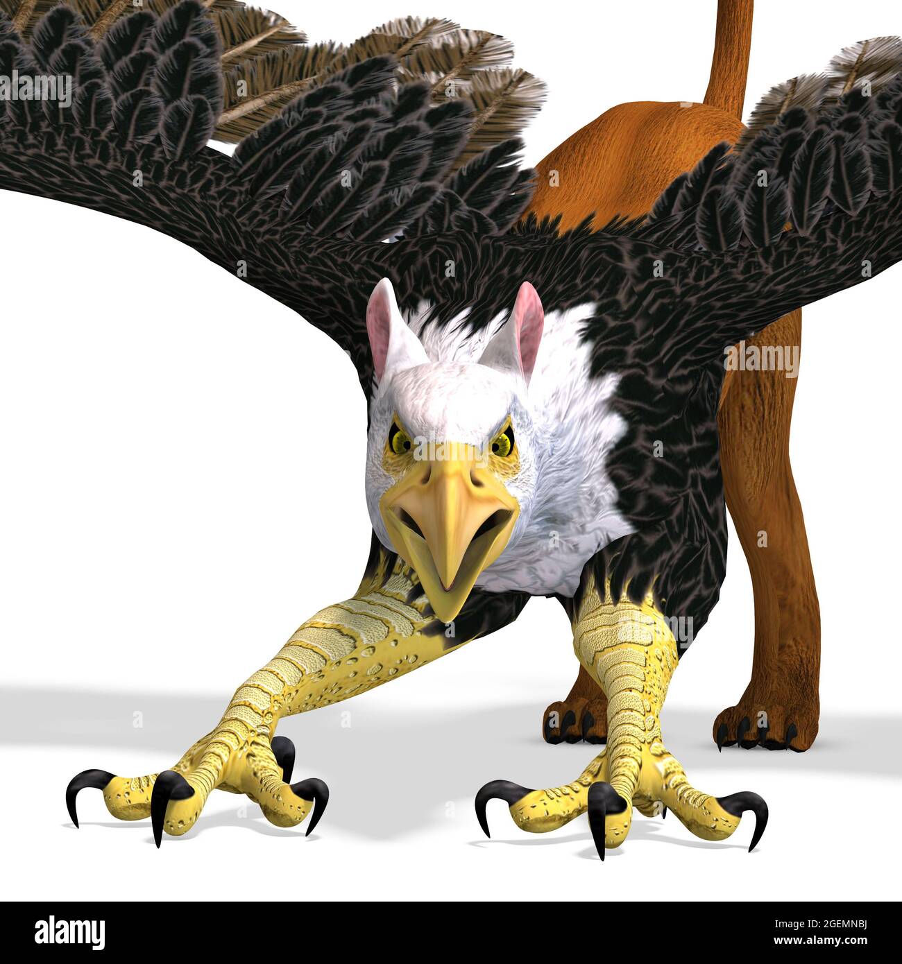 3d-illustration of an isolated griffin fantasy creature Stock Photo - Alamy