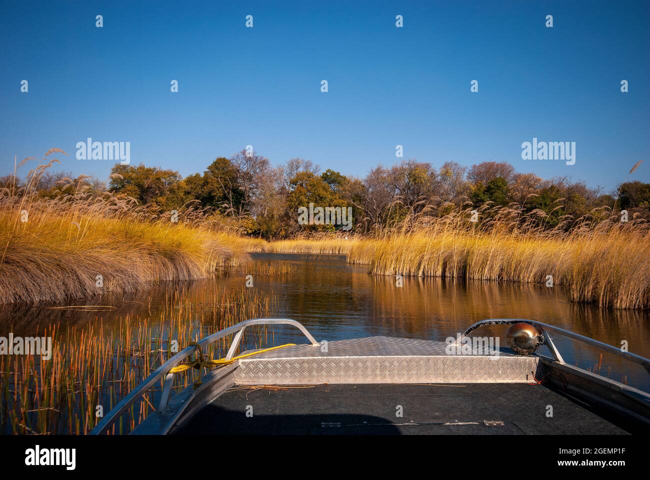 Boat safari among the reeds of the Okavango Delta, Moremi Game Reserve ...