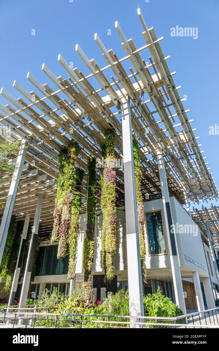 Perez Art Museum Miami Logo