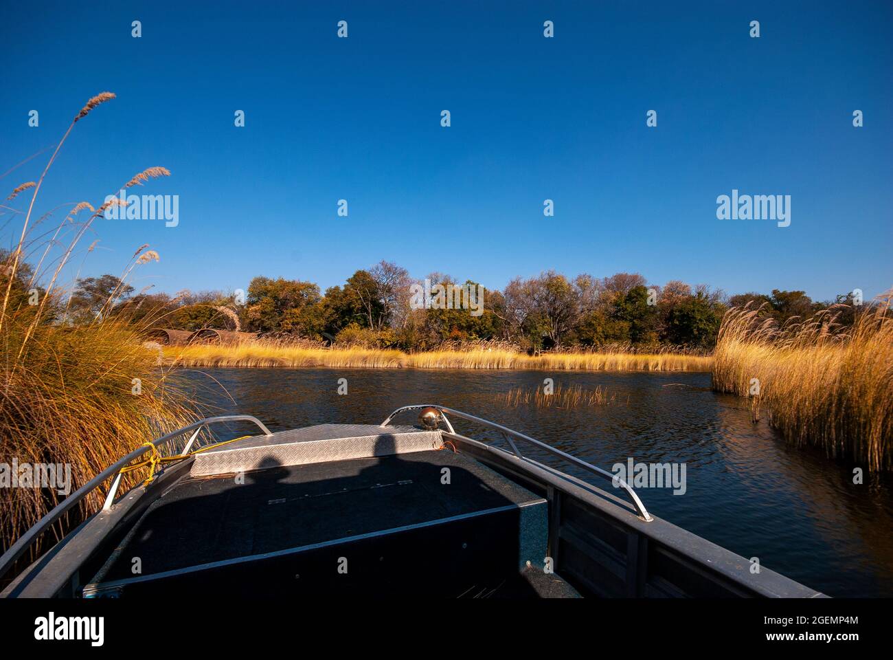 Boat safari among the reeds of the Okavango Delta, Moremi Game Reserve ...