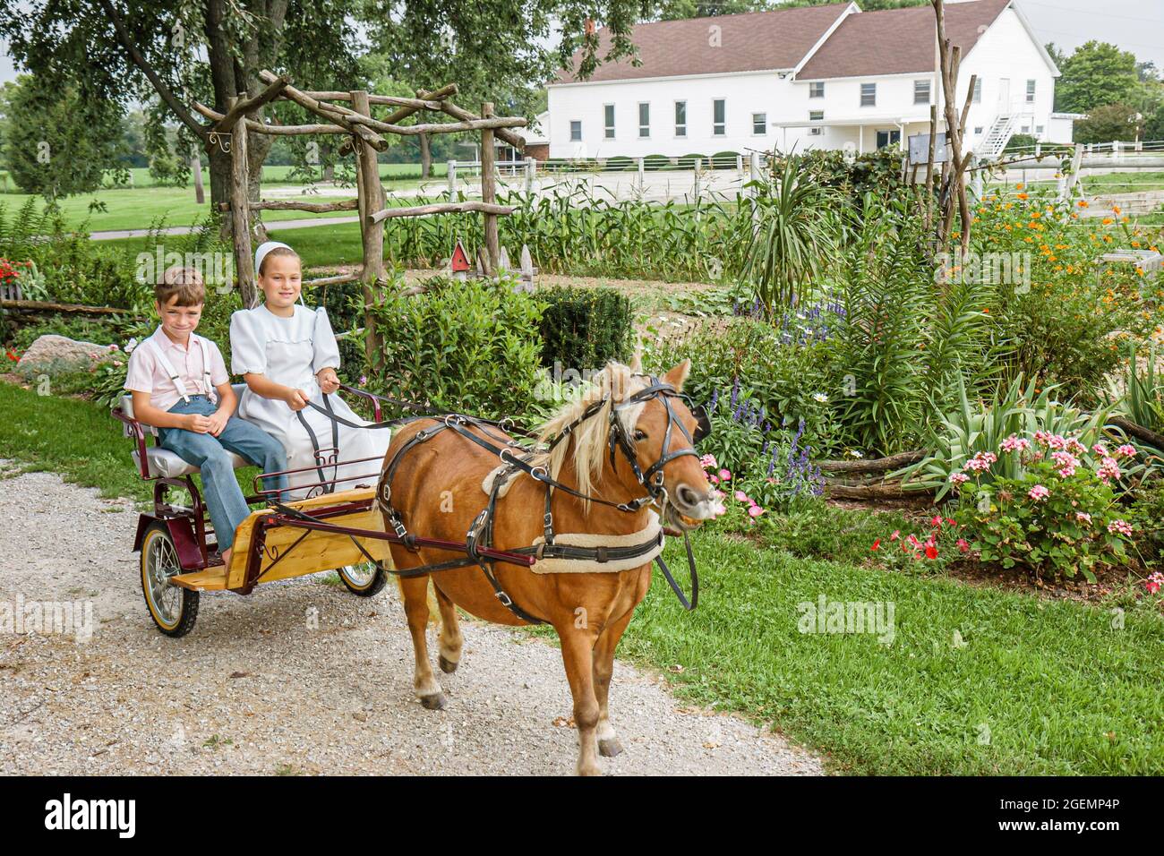 Boy girl kids children miniature pony riding cart brother sister hi-res ...