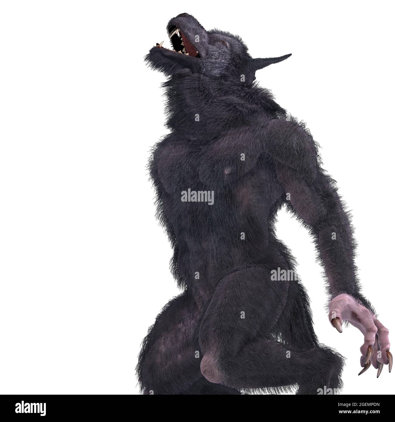 3d-illustration of an isolated giant fantasy werewolf creature Stock ...