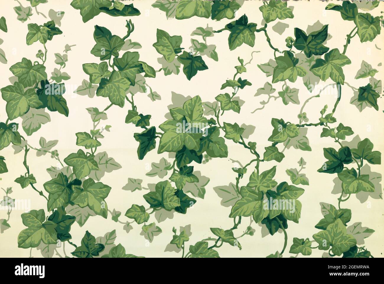 Twisting ivy leaves, branches and tendrils in all-over pattern, Mid ...