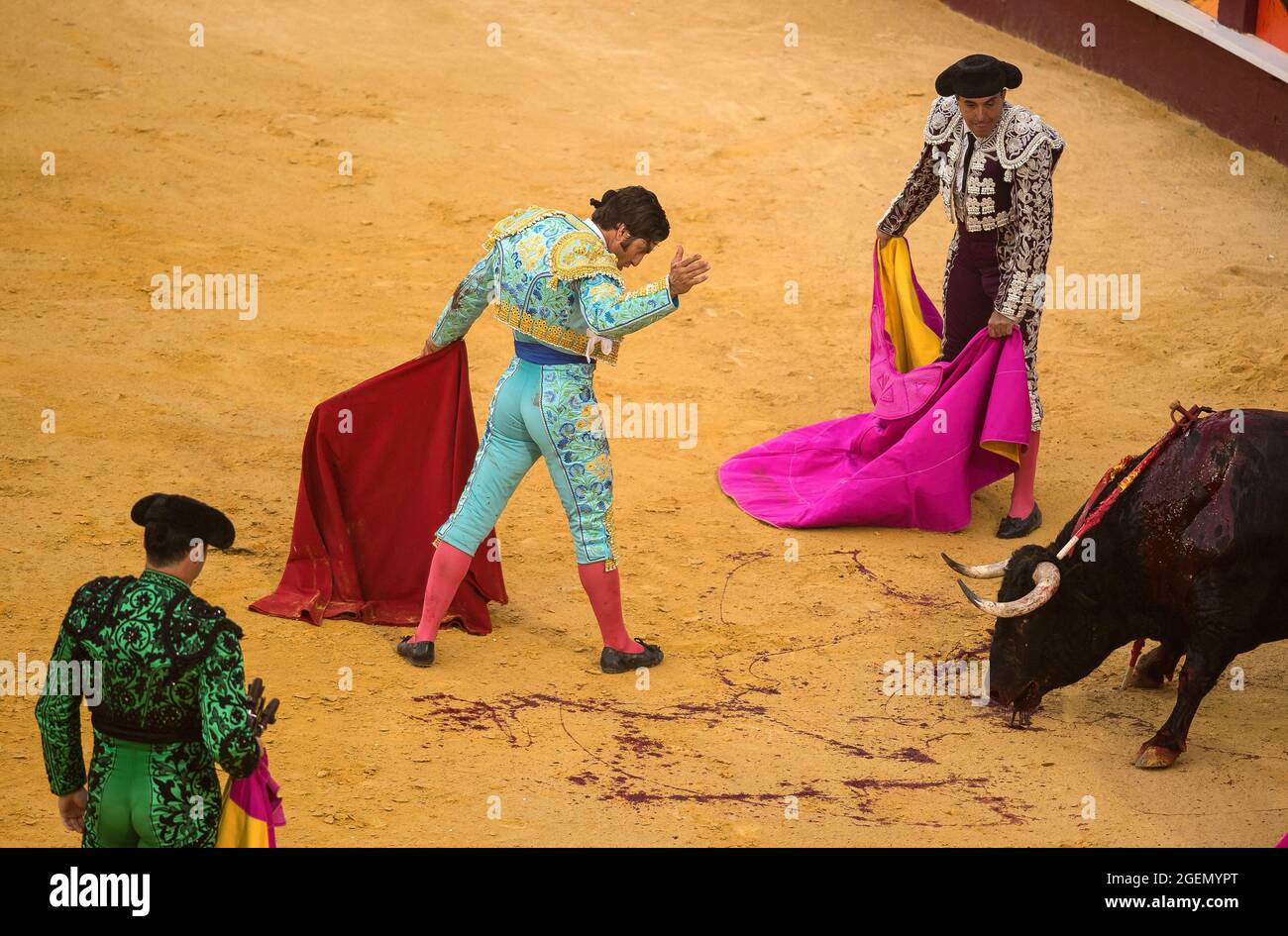 Killing the bull hi-res stock photography and images - Alamy