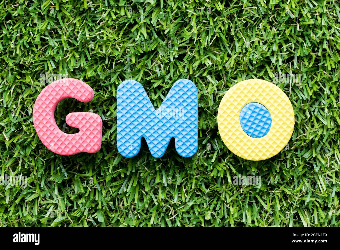 Color alphabet letter in word GMO (abbreviation of Genetically Modified ...