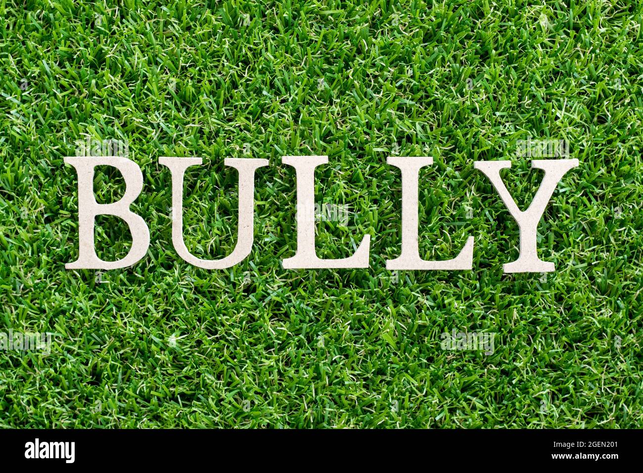 Wood letter in word bully on artificial green grass background Stock ...