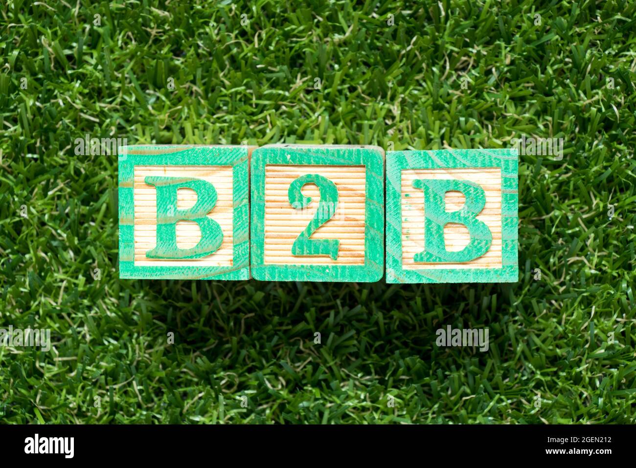 Color wood block in word B2B (business to business) on artificial green ...
