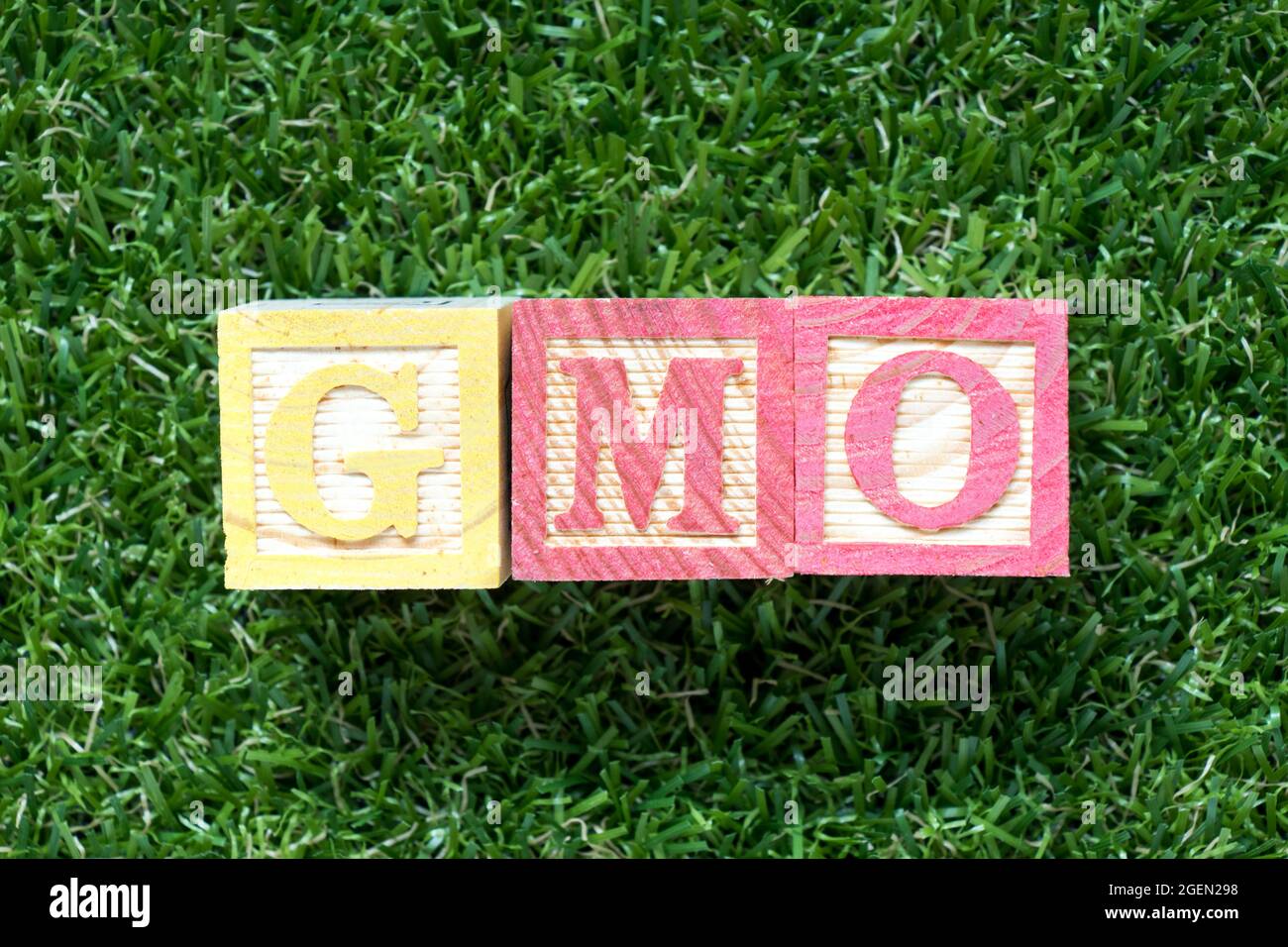 Color wood block in word GMO (abbreviation of Genetically Modified ...