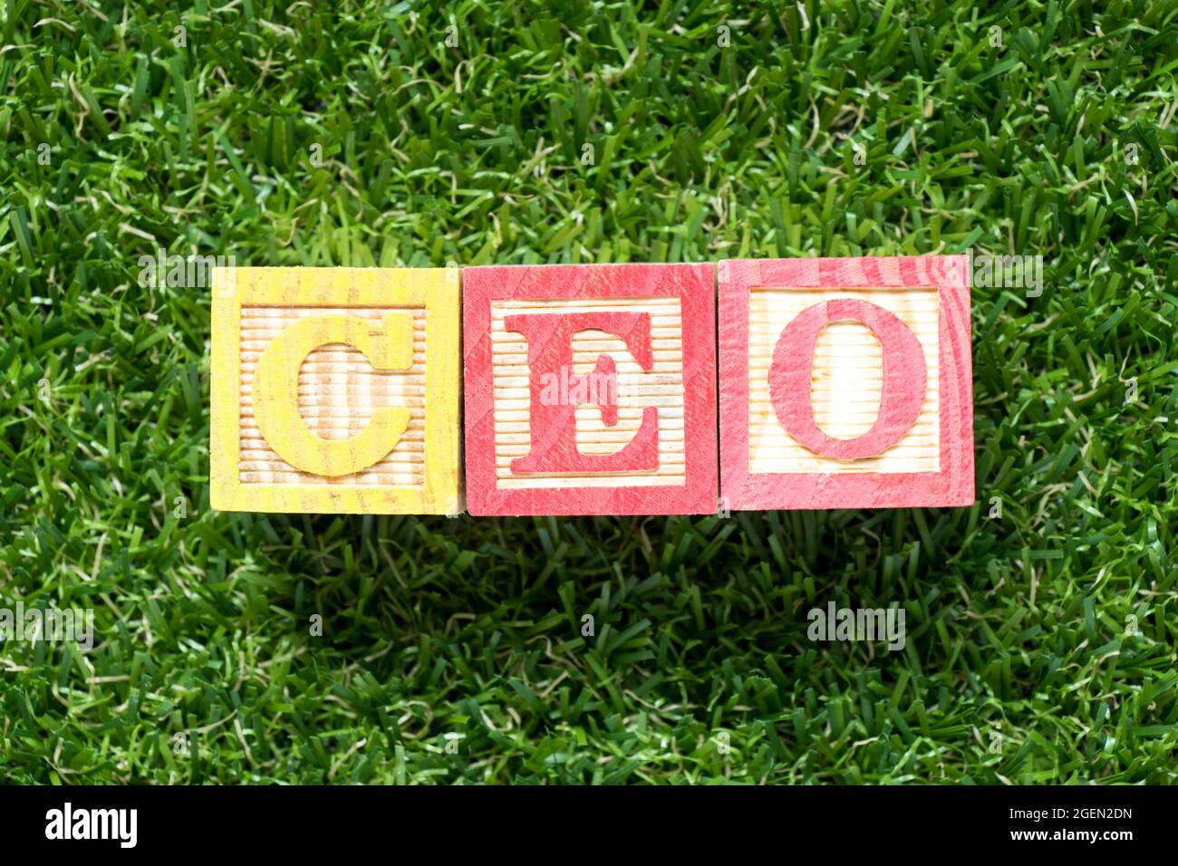 Color wood block in word CEO (Abbreviation of Chief Executive Officer ...
