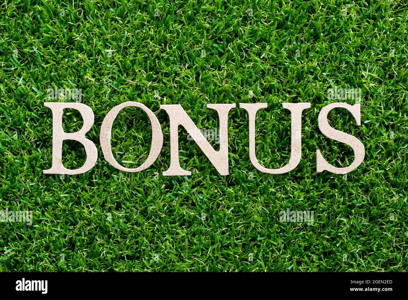 Wood letter in word bonus on artificial green grass background Stock ...
