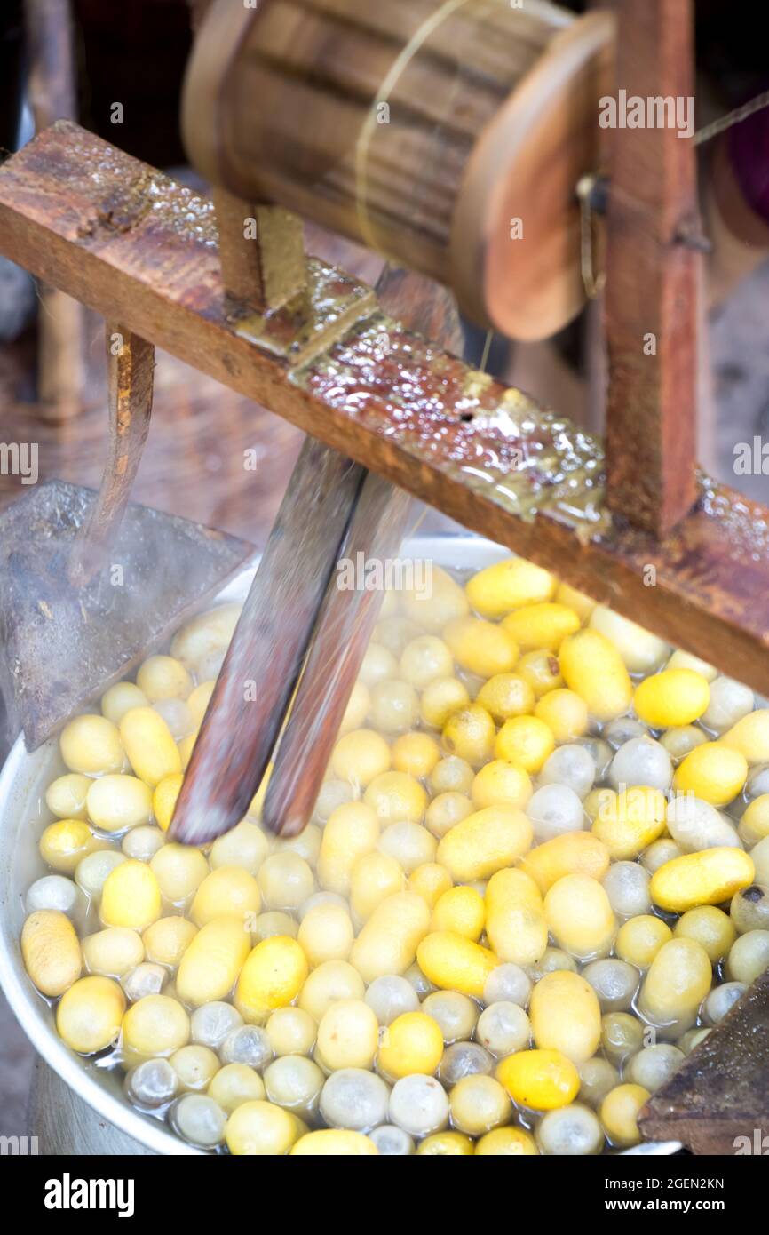 Closed up of vintage method for silk reeling and yellow and white ...