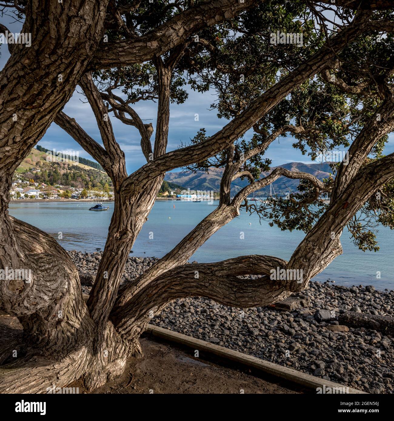 Akaoa Harbour through the trees - New zealand Stock Photo - Alamy