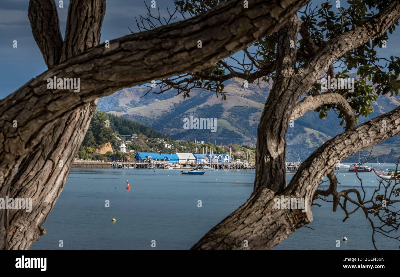 Akaoa Harbour through the trees - New zealand Stock Photo - Alamy