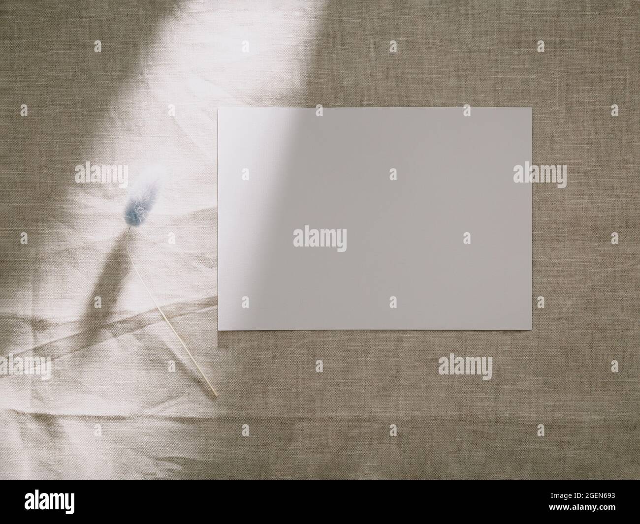 Invitation card mockup, blank greeting card template. Flat lay ...