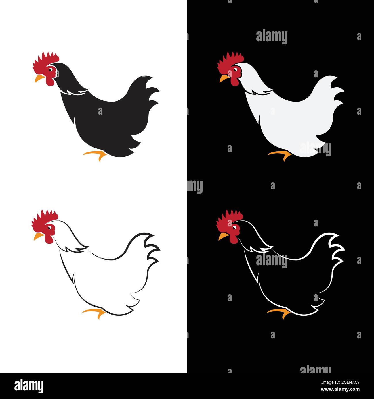Vector image of chicken design on white background and black background ...