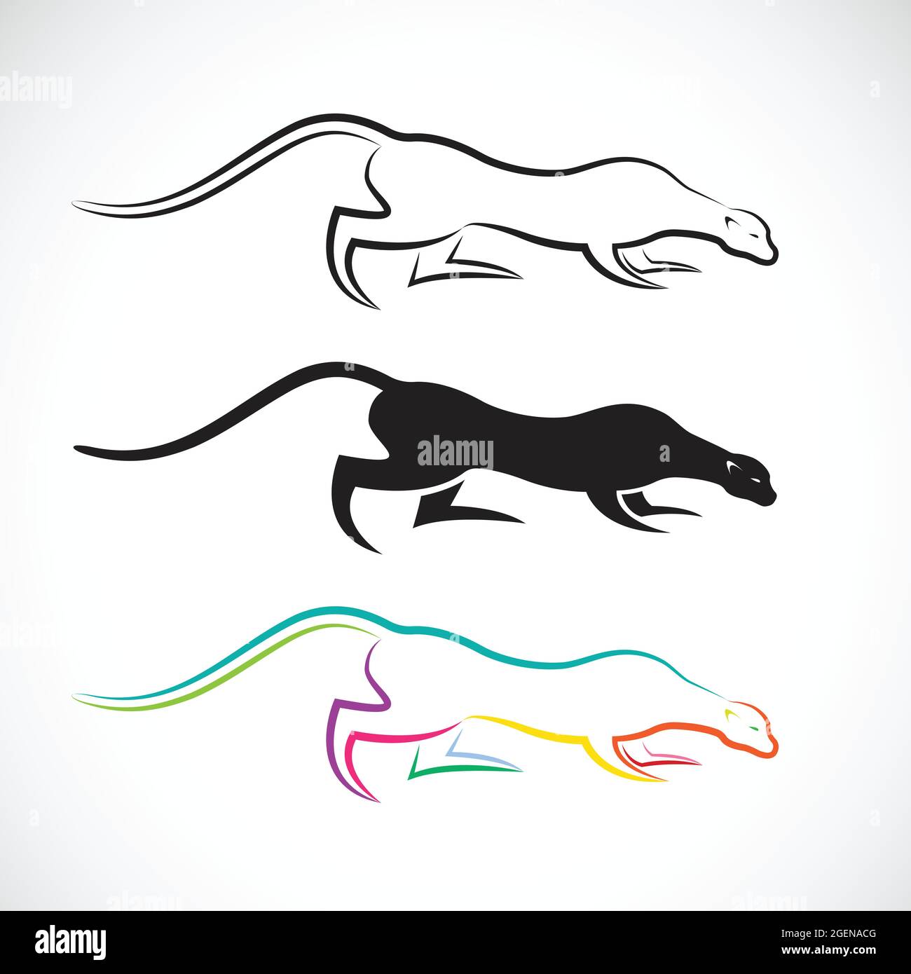 Vector image of cheetah design on white background. Vector cheetah for ...