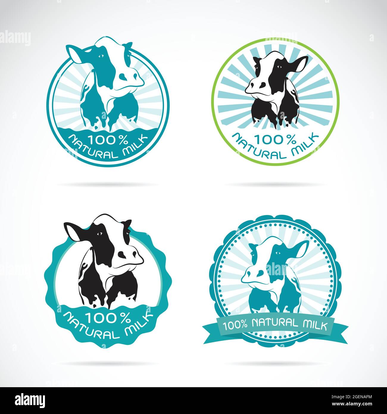 Set of vector an dairy cows label on white background. Easy editable ...