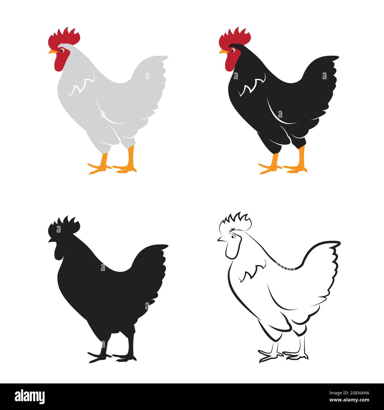 Vector of chicken design on white background. Hen. Farm Animals. Easy ...