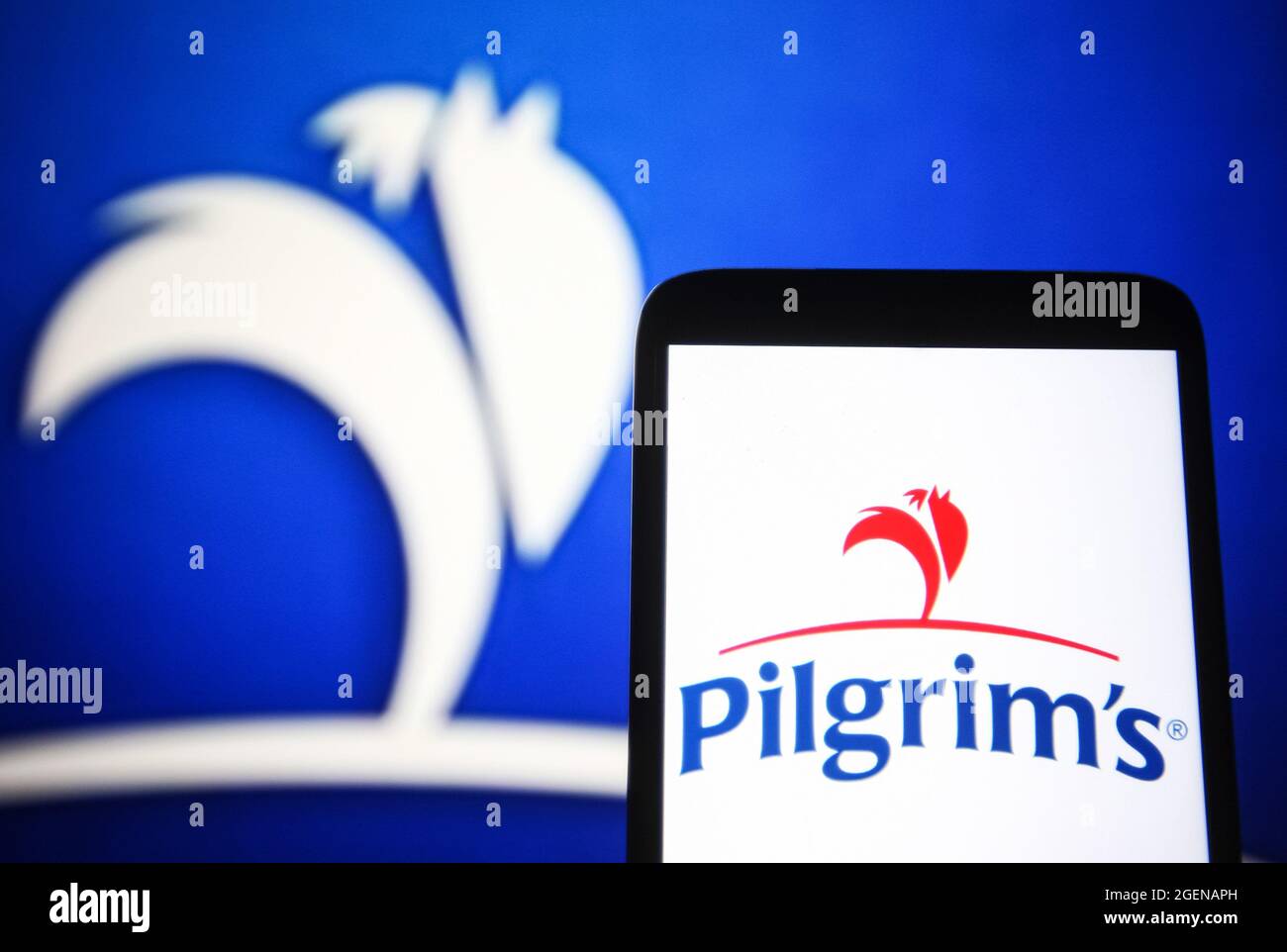 In this photo illustration, Pilgrim's Pride Corporation logo is seen ...