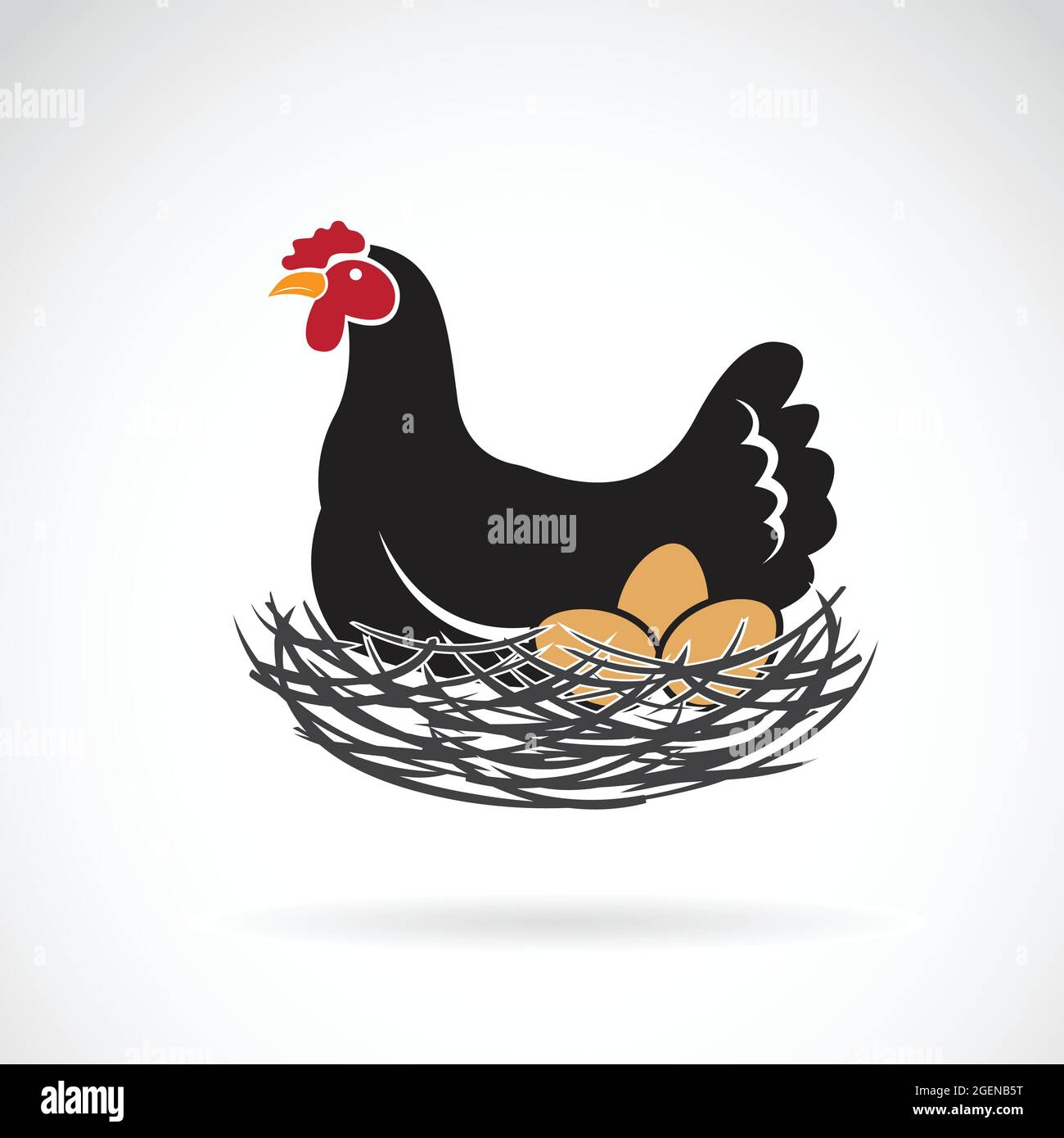 Vector of hen laying eggs in its nest on white background Stock Vector ...