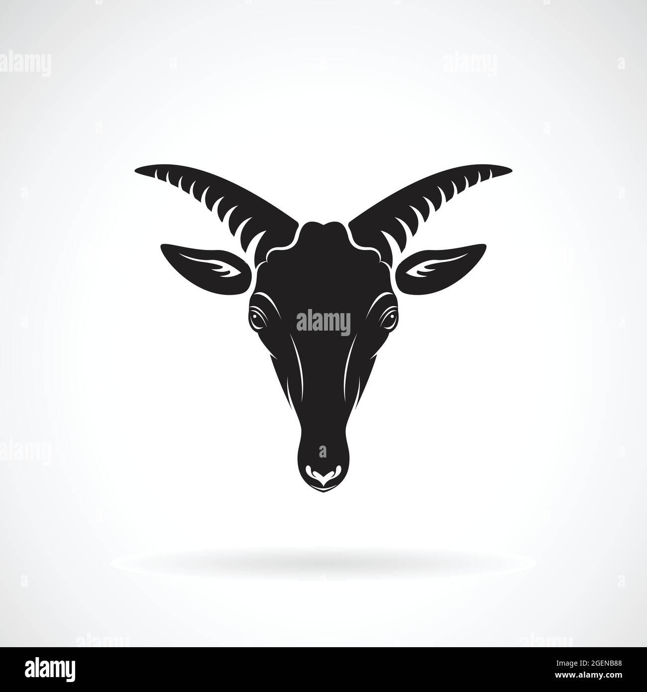 Vector of a goats mountain head on white background. Wild Animals. Easy ...