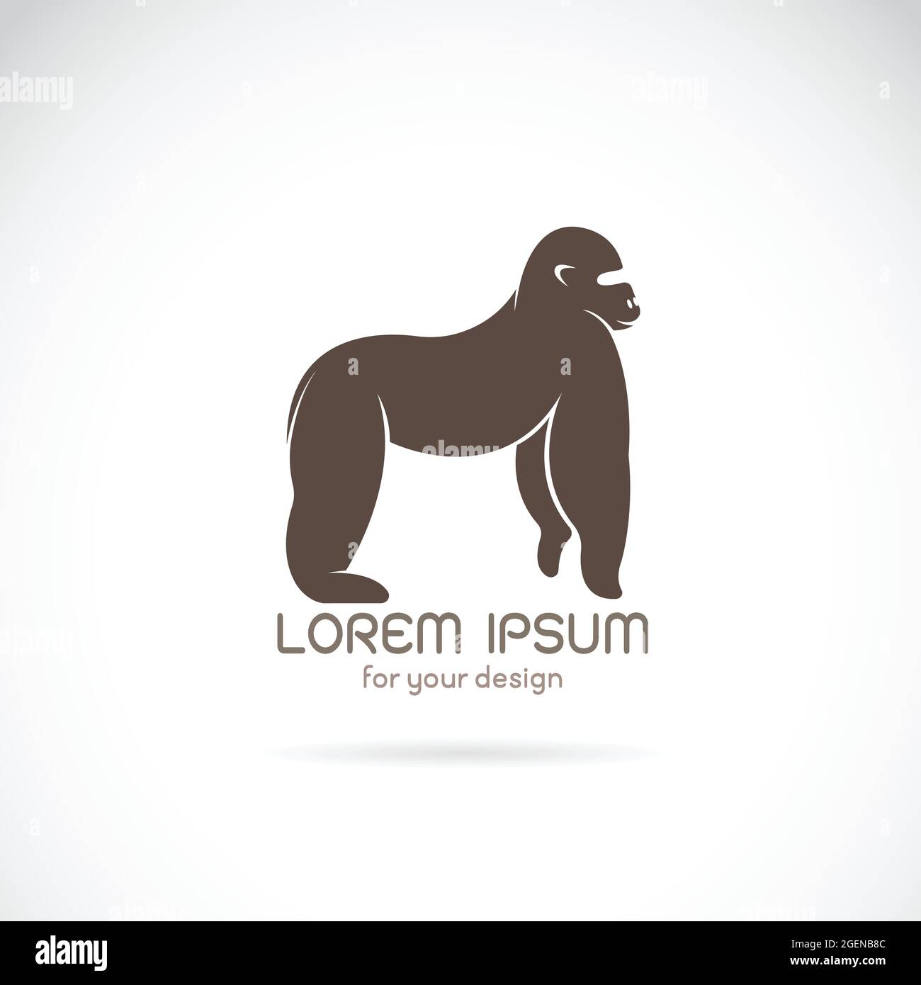 Vector image of a gorilla design on white background. Easy editable ...