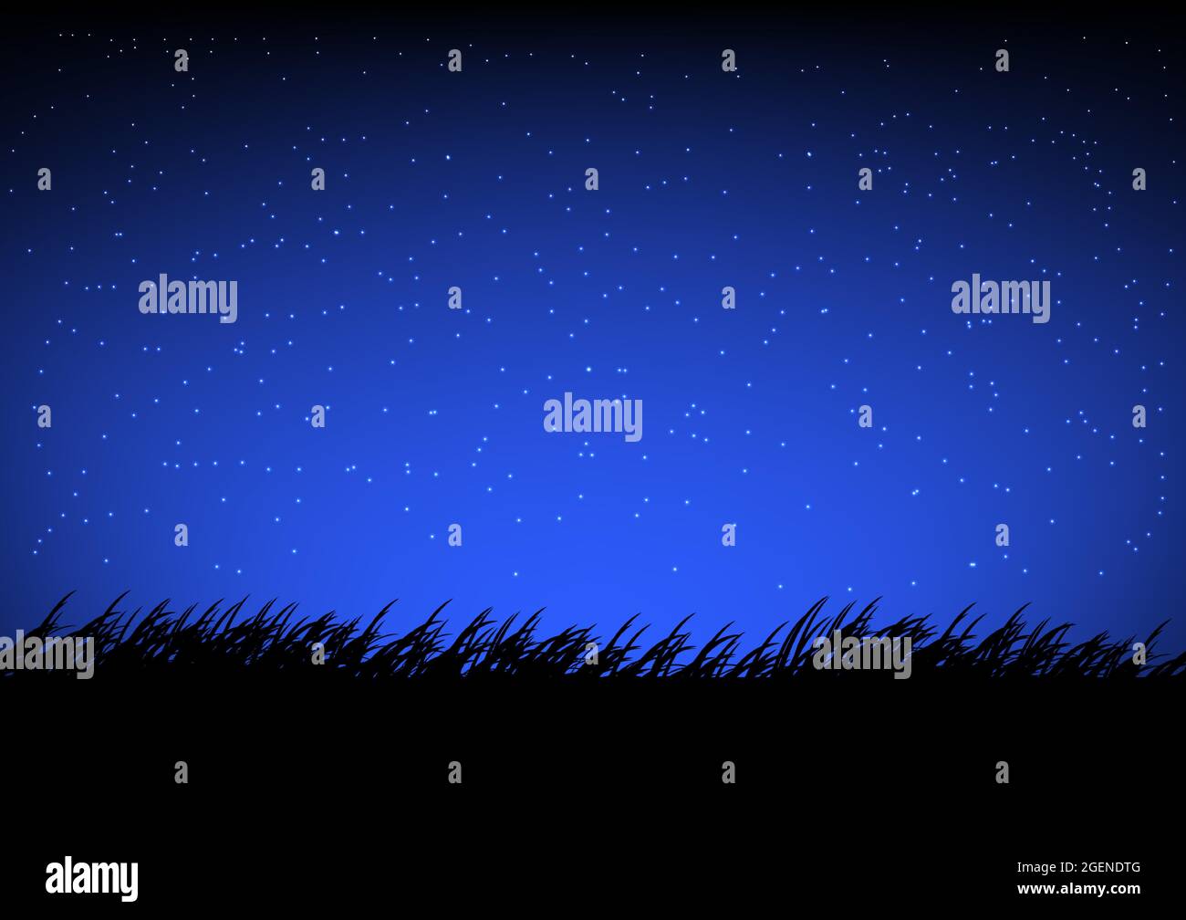 the sky and star and grass on the ground at night time graphics design ...