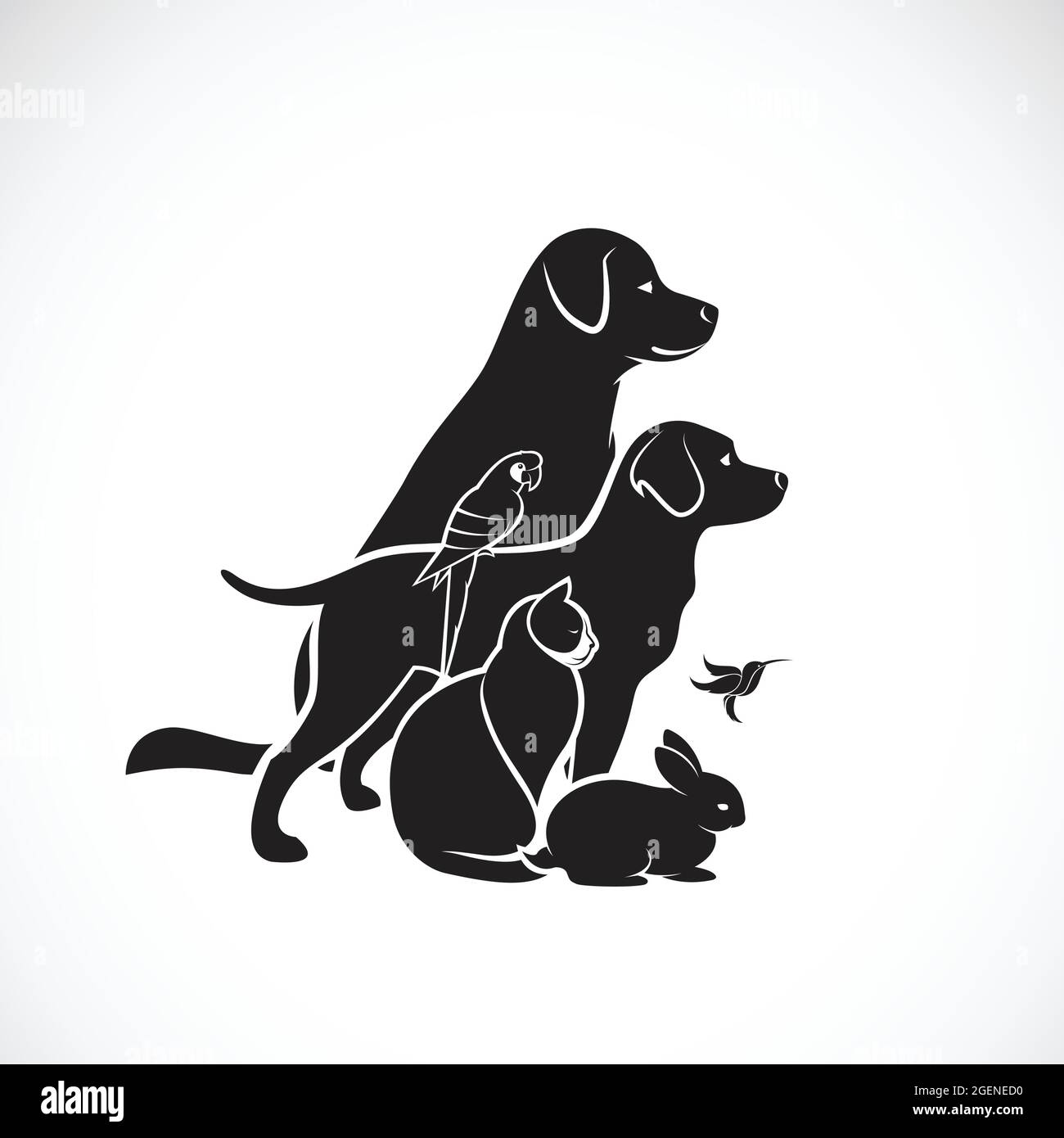Vector group of pets - Dog, Cat, Humming bird, Parrot, Rabbit isolated ...