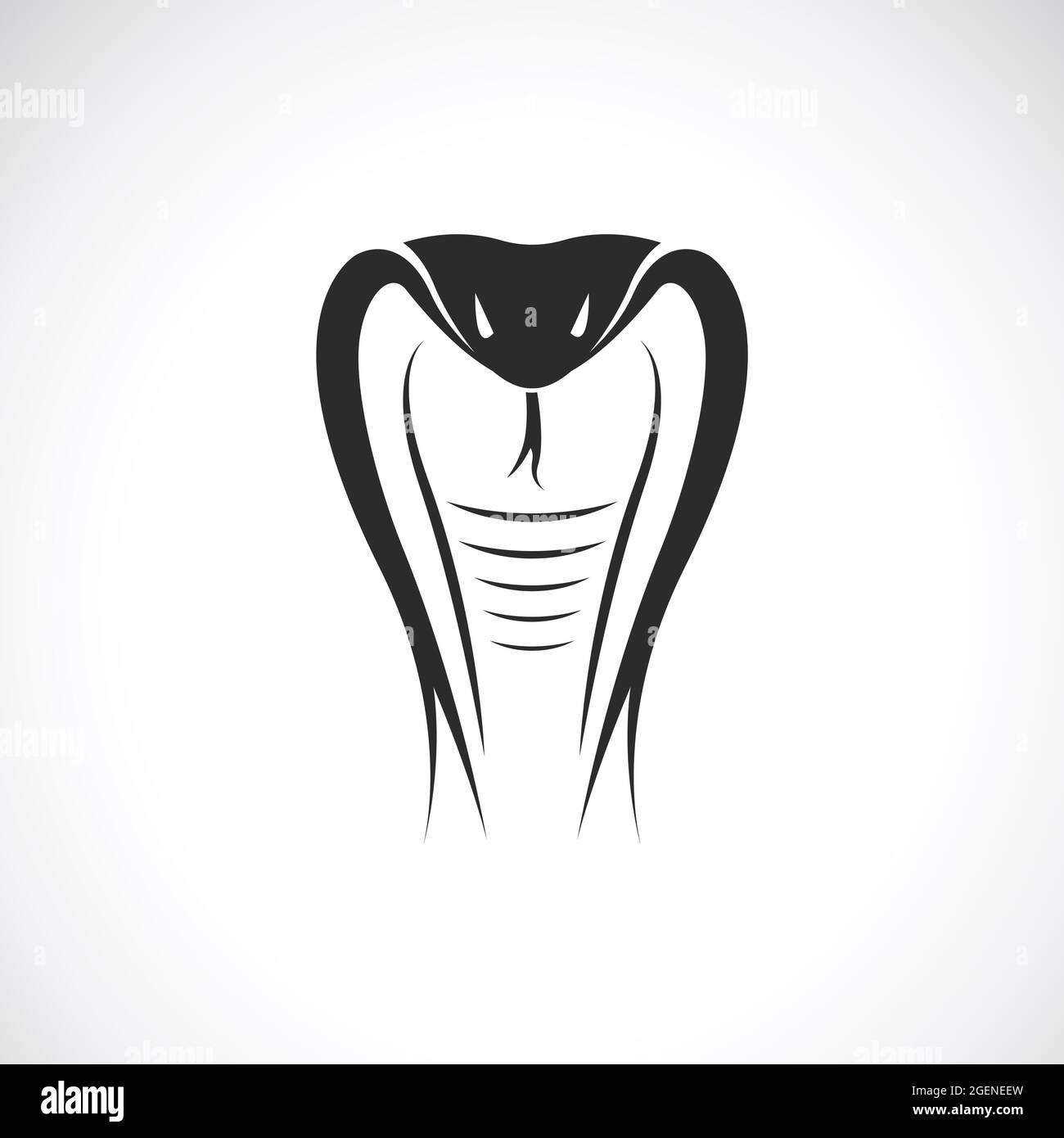 Vector of snake head design on white background. Animals. Reptile ...