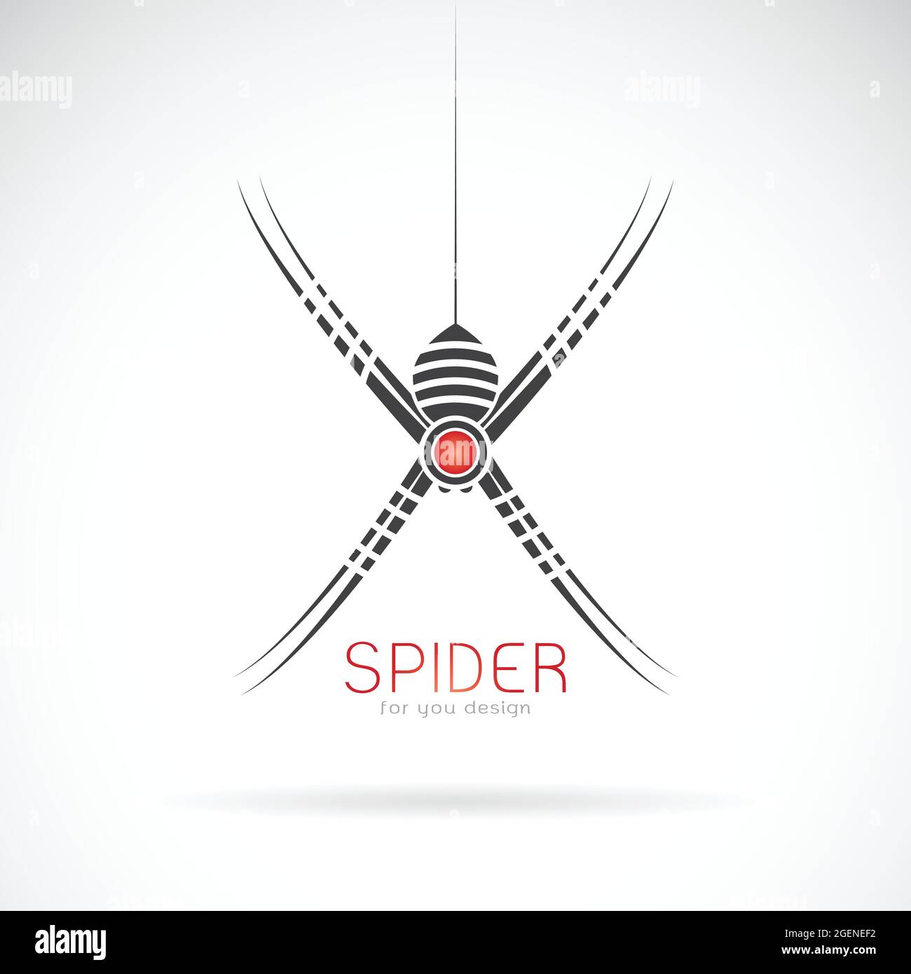 Vector of spider design on white background. Insect. Animal. Easy ...