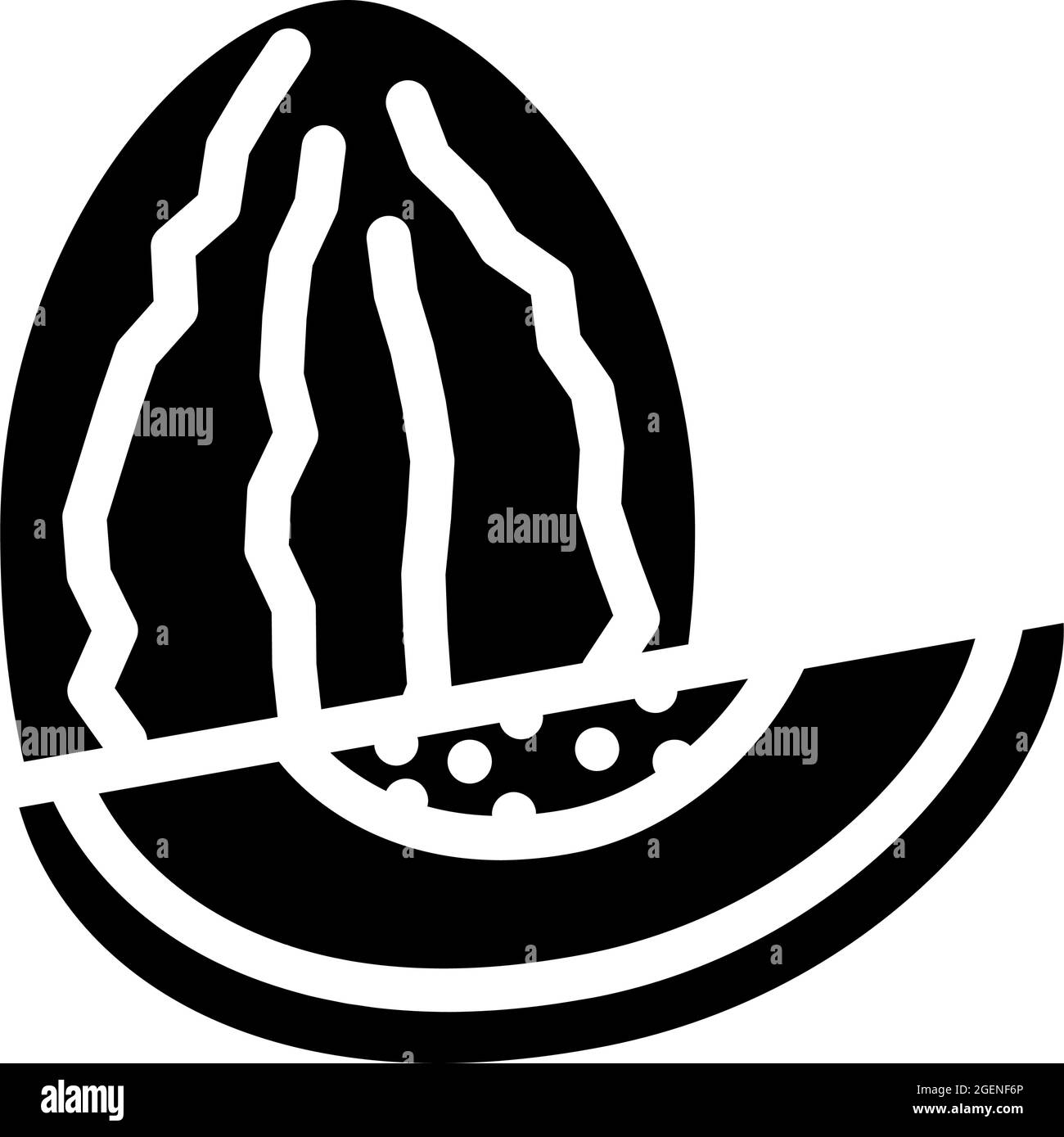melon fruit glyph icon vector illustration Stock Vector Image & Art - Alamy
