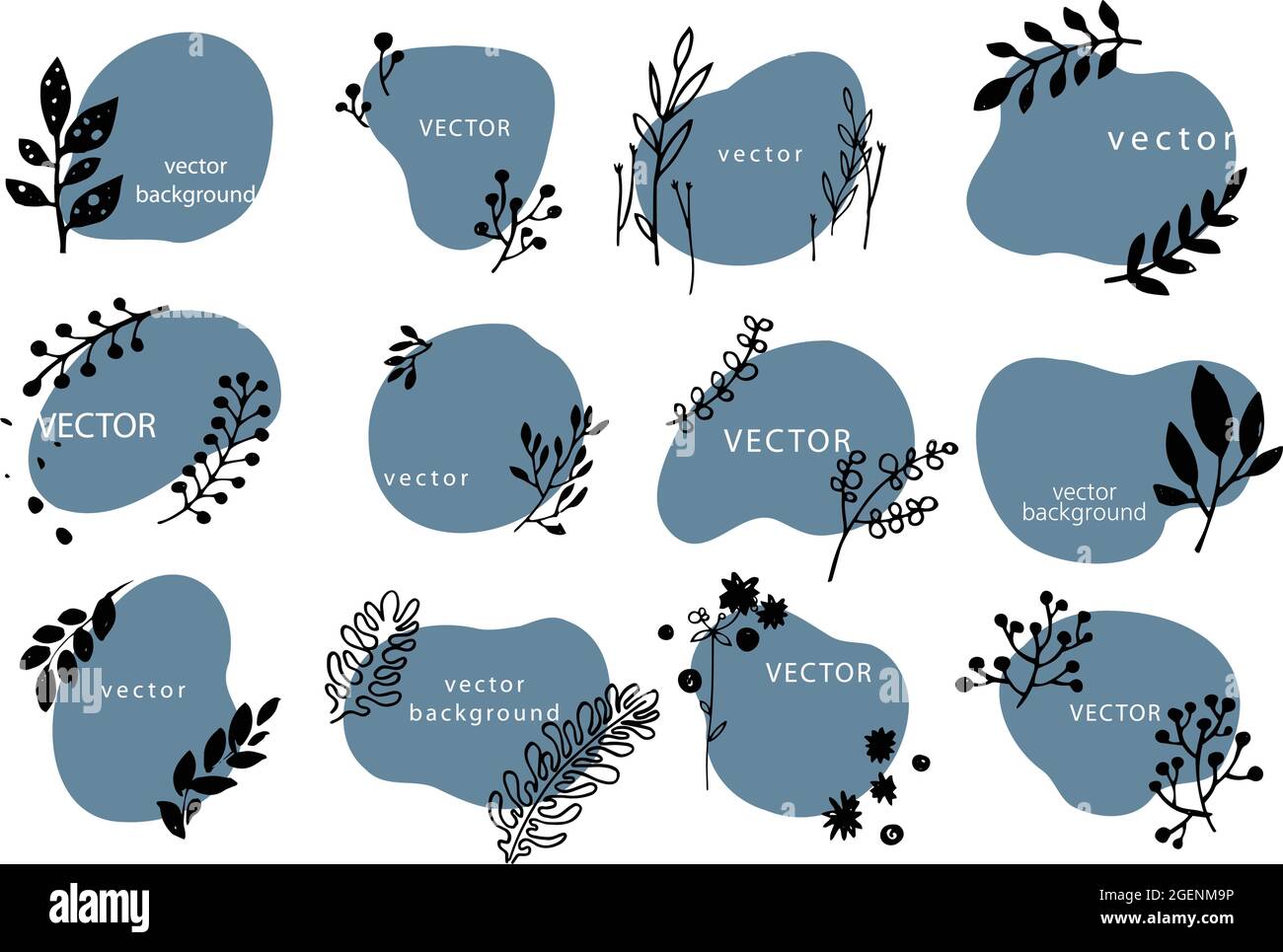 Botany and flora on banners with copy space and minimalist decor of ...