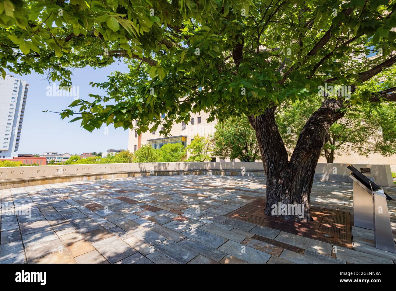 The Survivor Tree in the Oklahoma City National Memorial and Museum at ...
