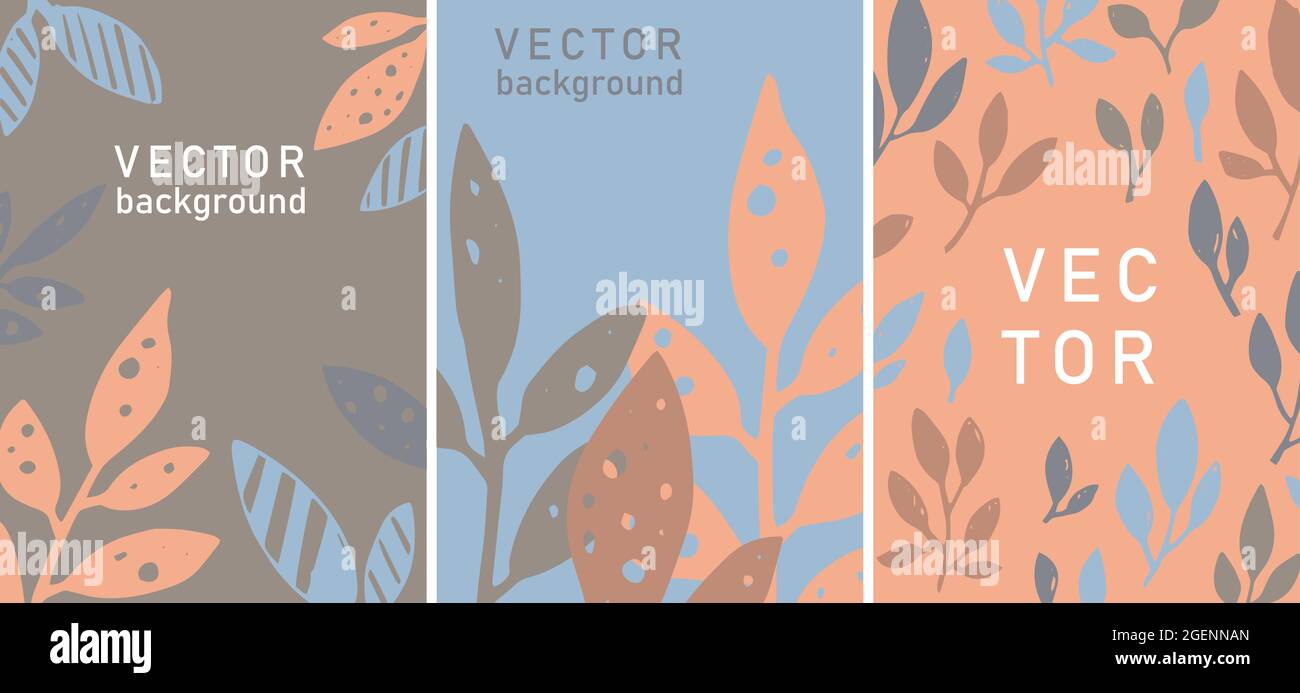 Foliage and leaves, botany design on cover page Stock Vector Image ...