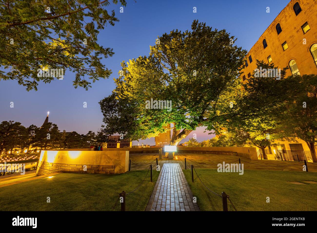 The Survivor Tree in the Oklahoma City National Memorial and Museum at ...