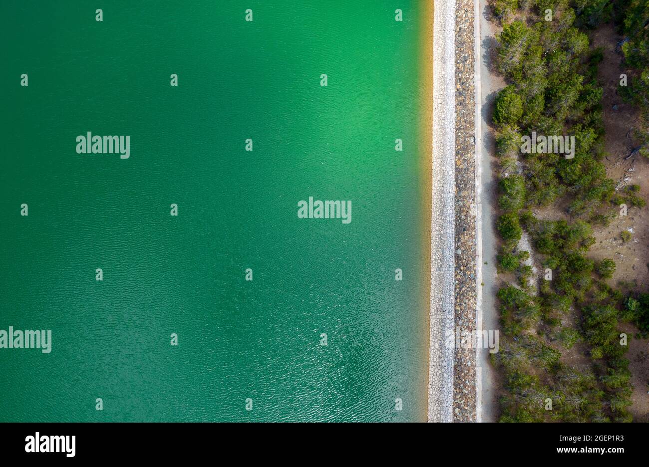 Top aerial view forest full hi-res stock photography and images - Alamy