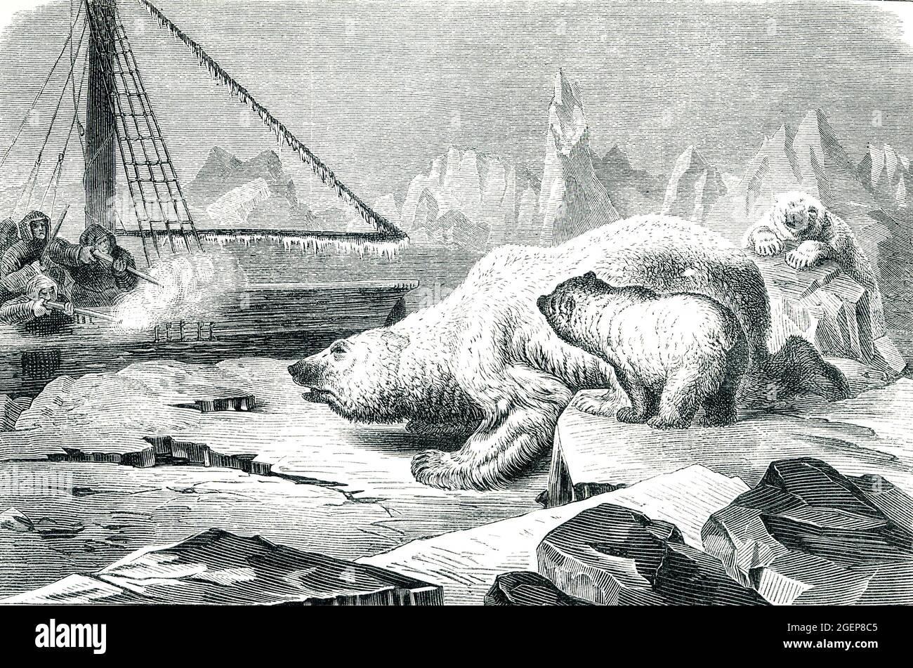 19th century polar research hi-res stock photography and images - Alamy