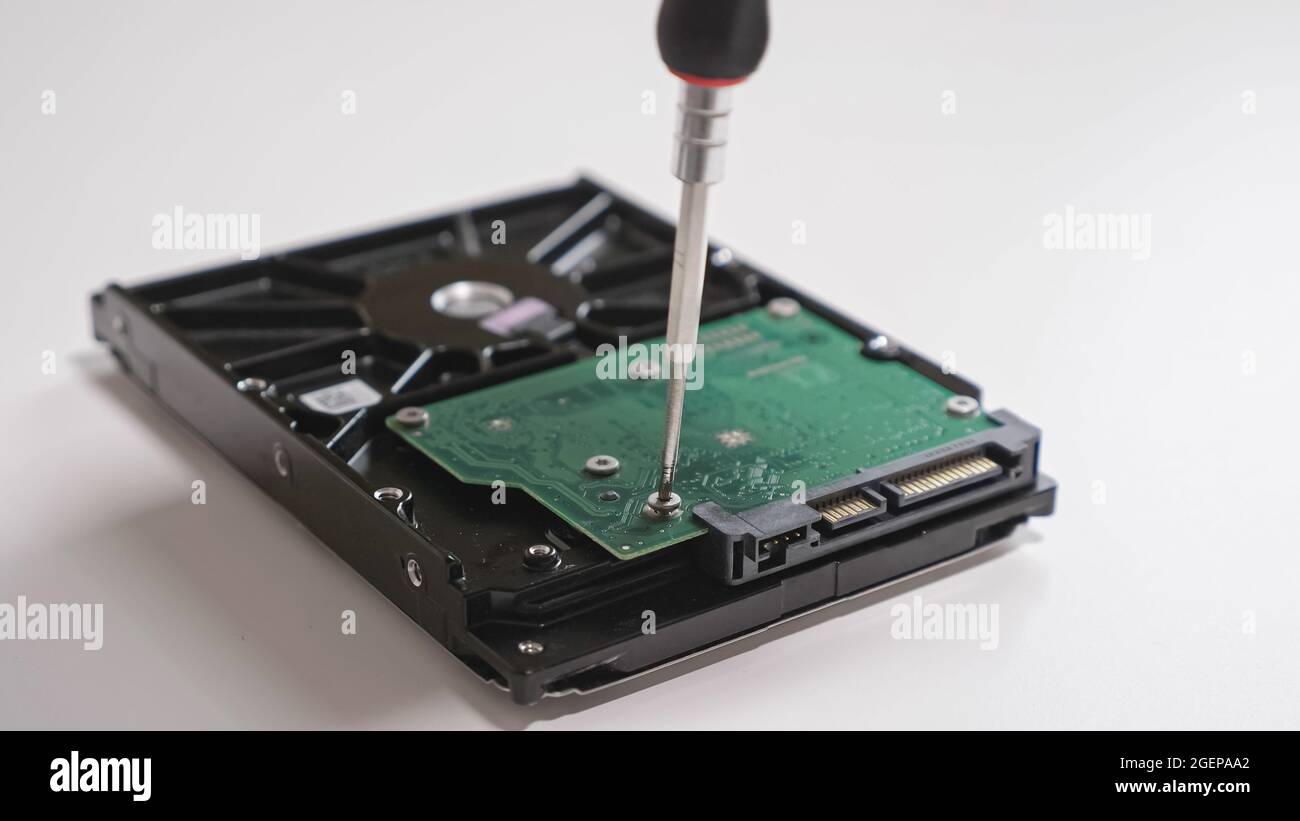 Unrecognizable master disassembles a hard drive with a screwdriver ...