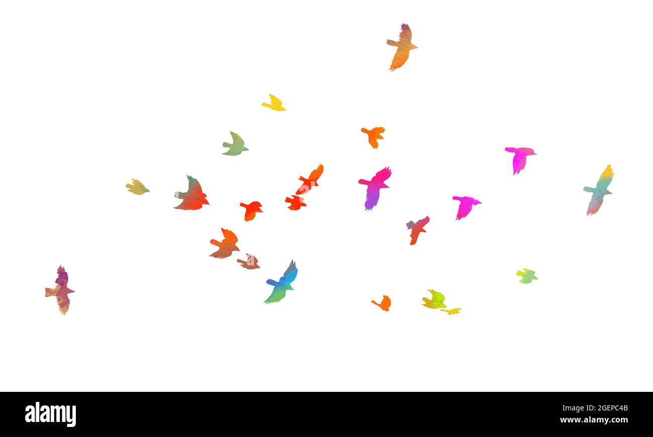 A flock of colorful birds. Vector illustration Stock Vector Image & Art ...