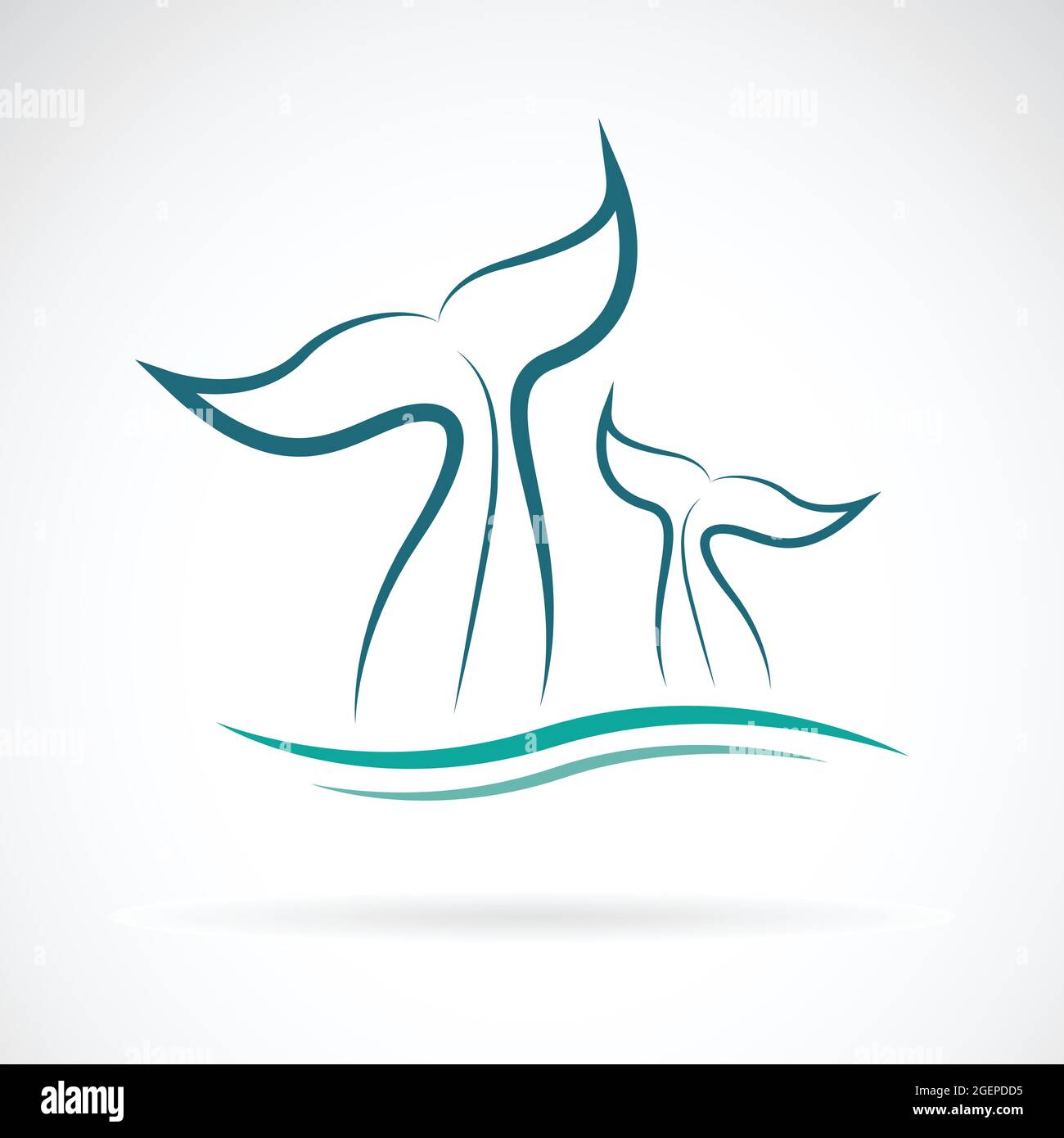 Vector of whale tail design on white background. Animals. Sea creature ...