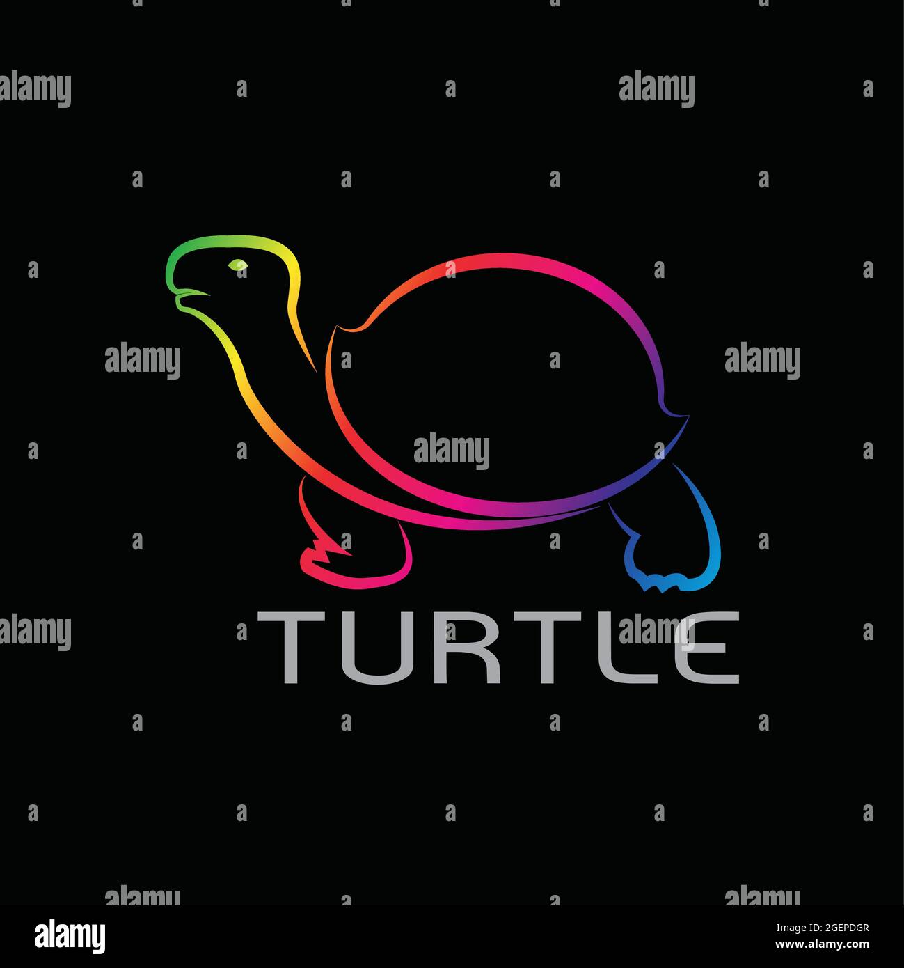 Vector images of turtle design on black background, Turtle Logo, Turtle ...