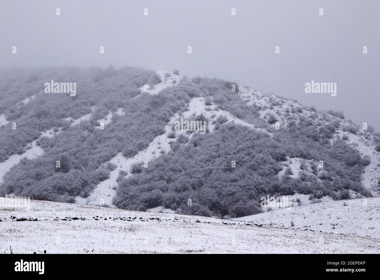 Chilling view of a snow-covered field during a snowfall in Georgia ...