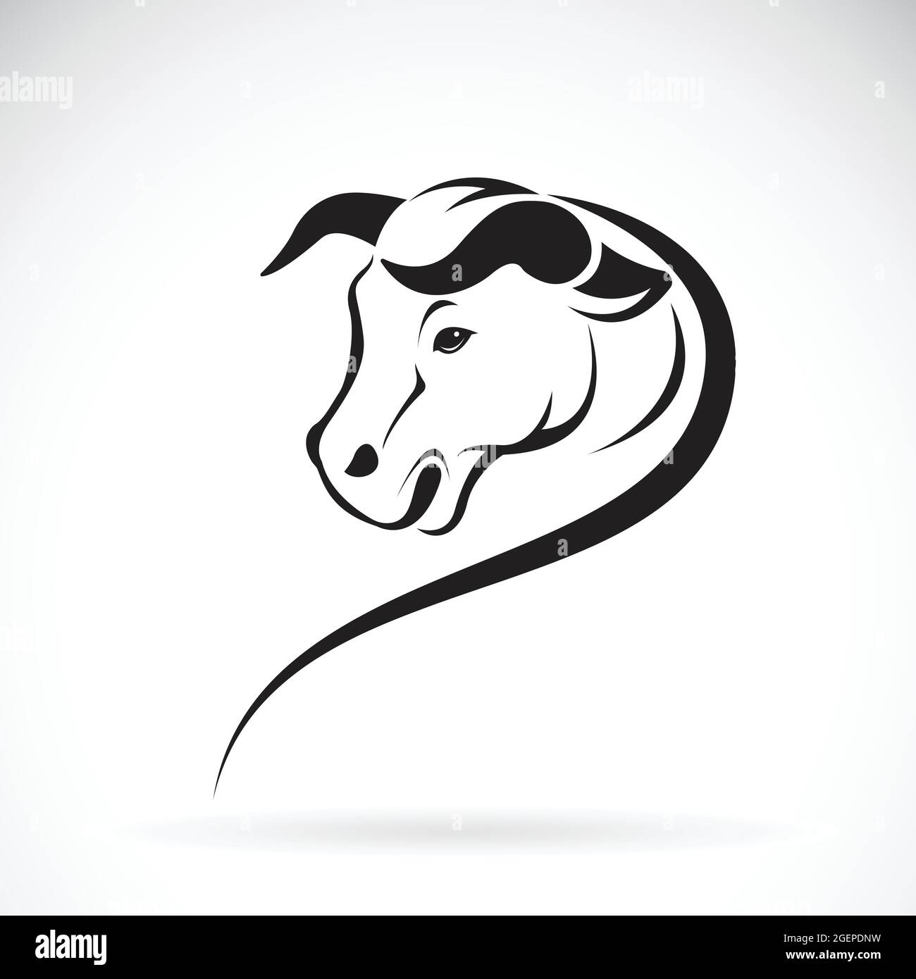 Vector of a bull head on a white background. Easy editable layered ...
