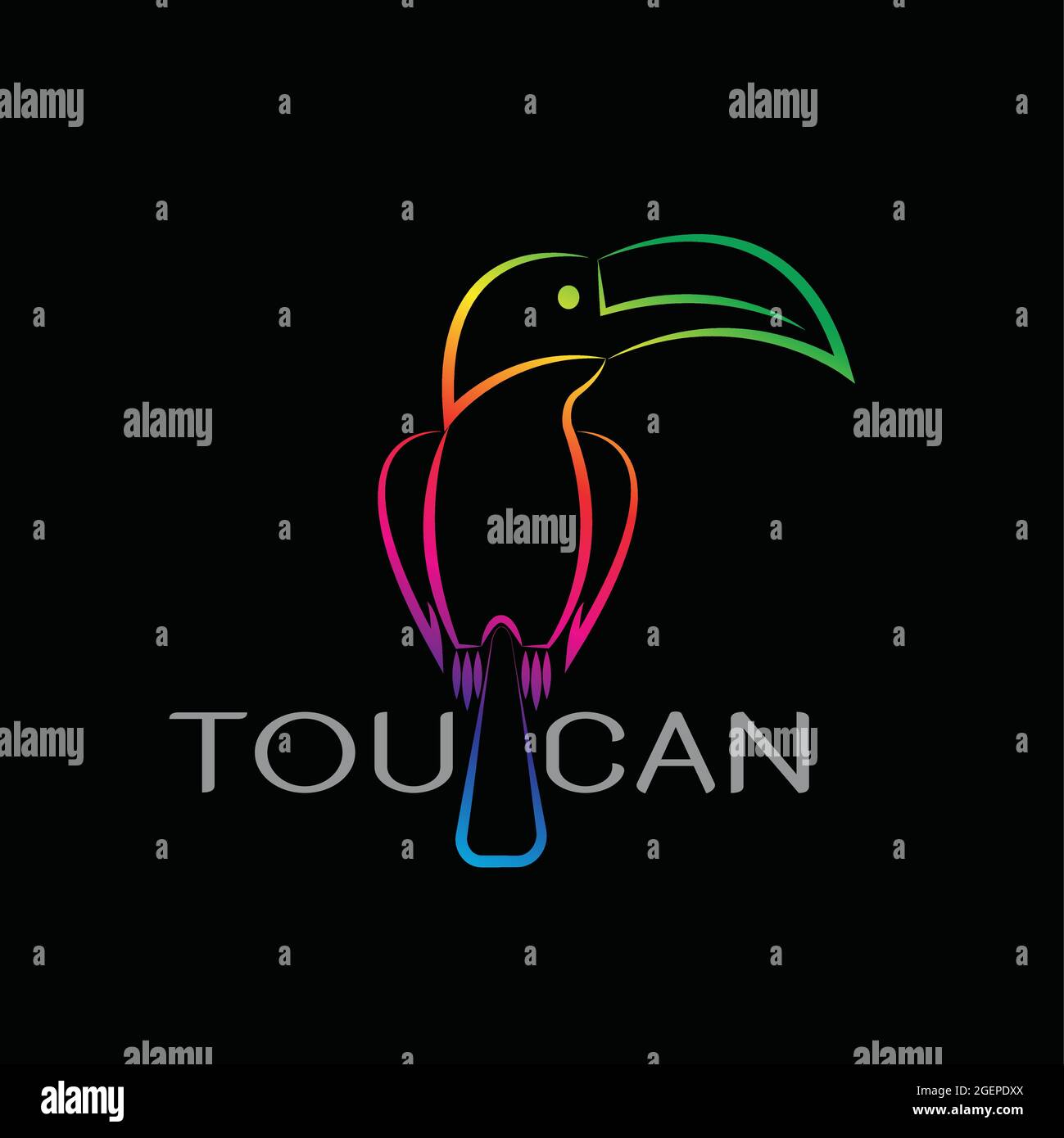 Vector images of toucan design on black background Stock Vector Image ...