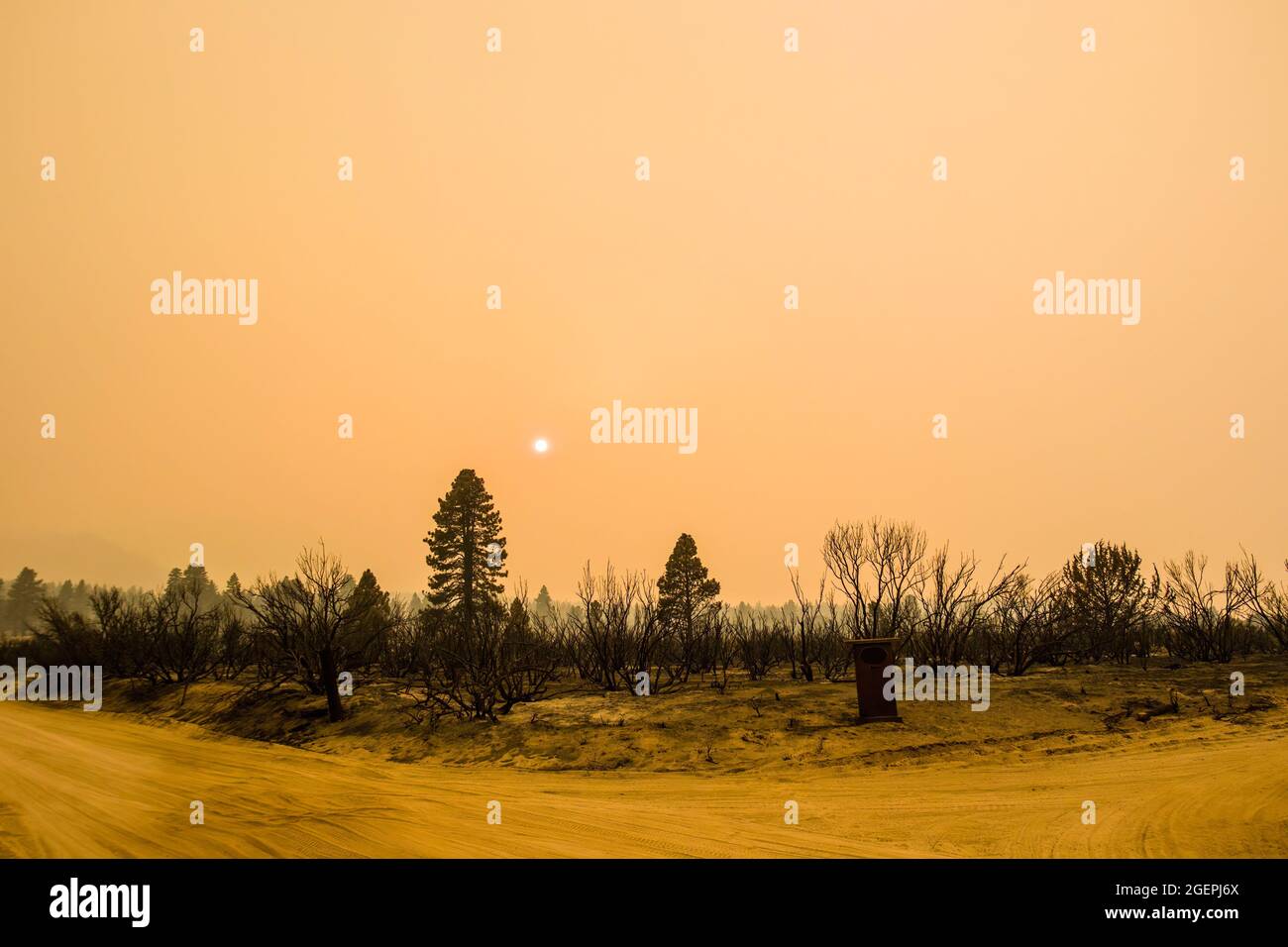 Heavy smoke fills the air over a burned area from the Dixie fire. A ...