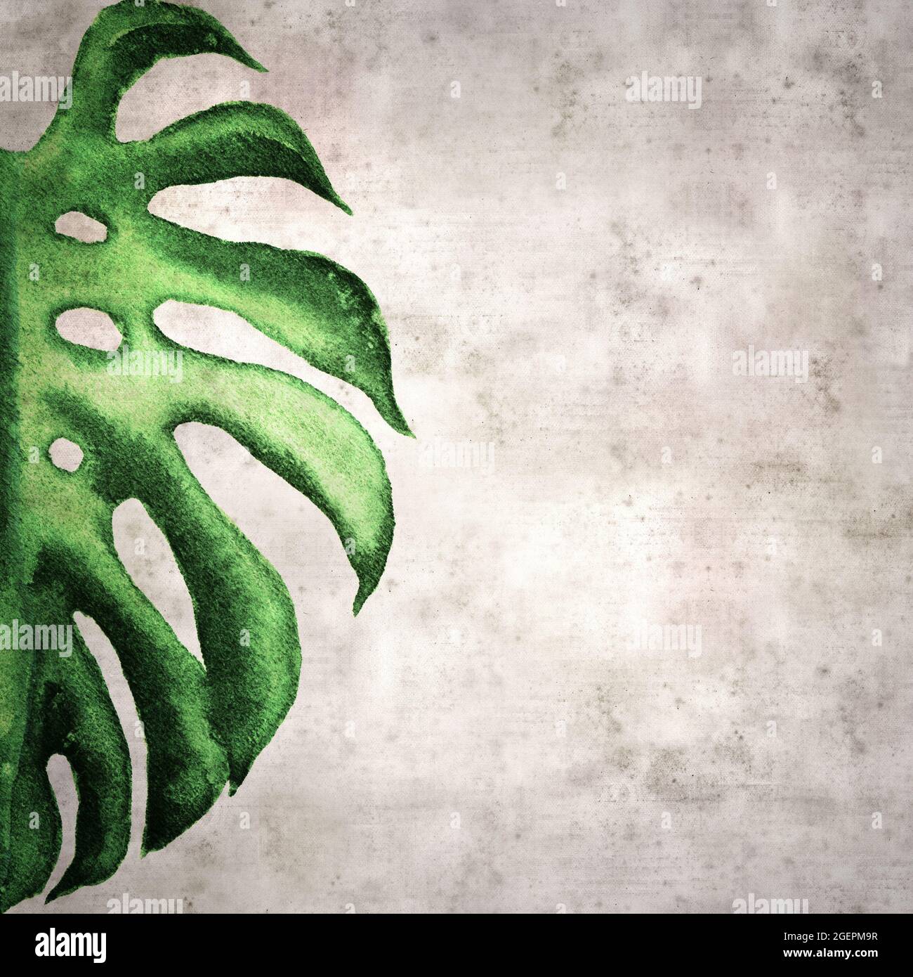 stylish textured old paper background with watercolor monstera leaf ...